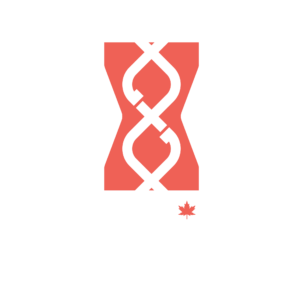 Meet The Gambit Team - Gambit