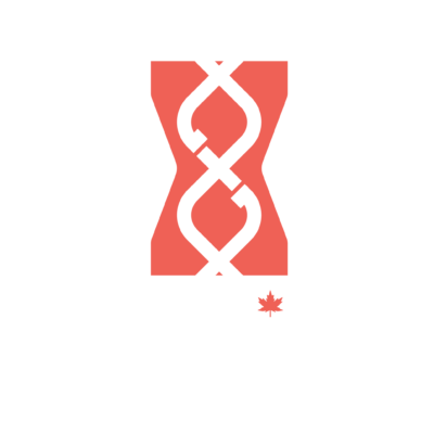 Meet The Gambit Team - Gambit